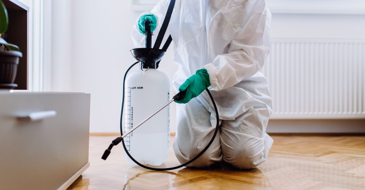 Pest Control Experts - Pest Control Hendersonville